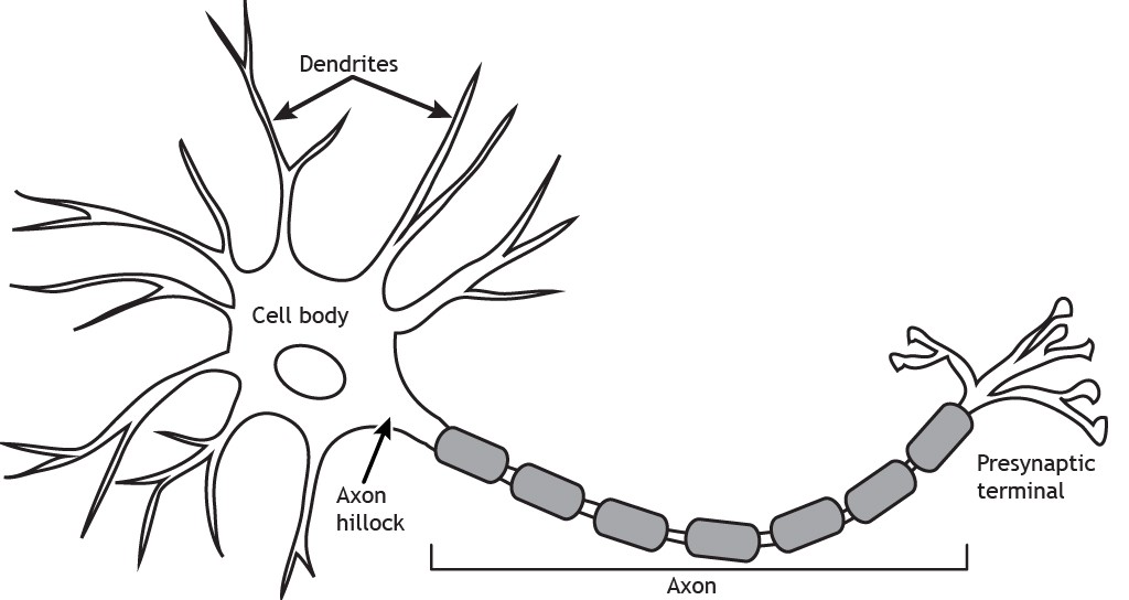 TrueNorth: A Deep Dive into IBM's Neuromorphic Chip Design - Open ...