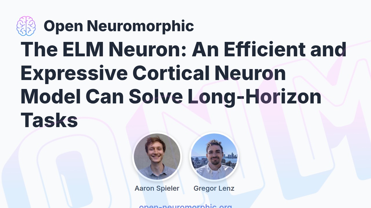 The ELM Neuron: An Efficient and Expressive Cortical Neuron Model Can Solve Long-Horizon Tasks ...